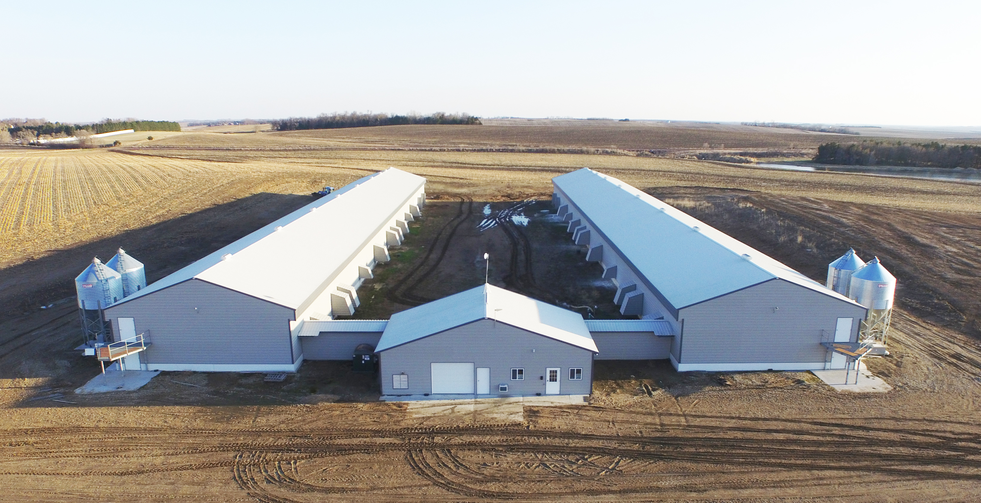 Commercial Chicken Barn Cost at Kathleen Flores blog