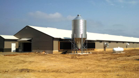 Swine Buildings | Goodman Classic